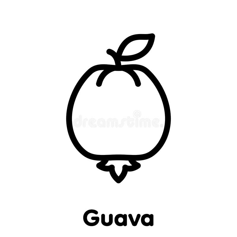Guava Fruit Linear Icon, Vector, Illustration. Stock Vector ...