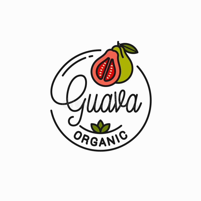 Guava Linear Icon. Modern Outline Guava Logo Concept On White Ba Stock ...