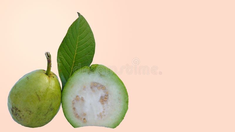 Amrudh Stock Photos - Free & Royalty-Free Stock Photos from Dreamstime