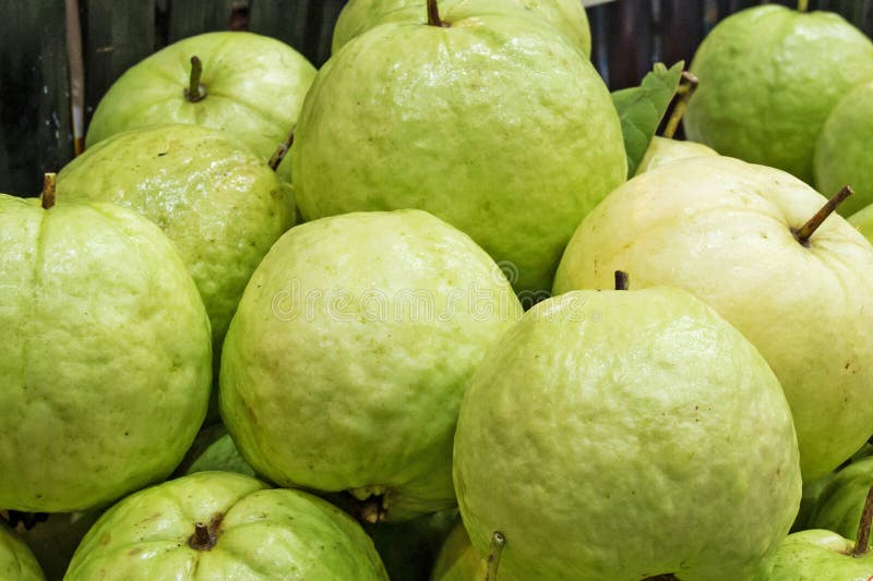 The guava stock photo. Image of drink, food, cute, tropical - 45582846
