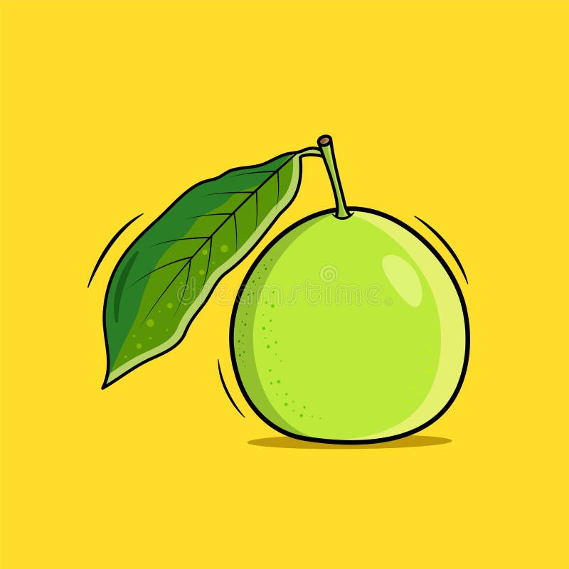 The Guava Fruits Colorful Vector Illustration Stock Vector ...