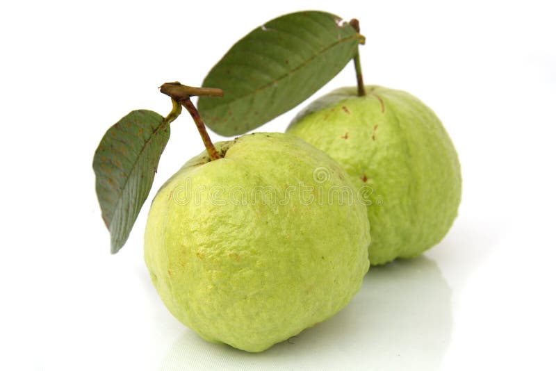 Guava with leaf stock photo. Image of beautiful, leaf - 17482616