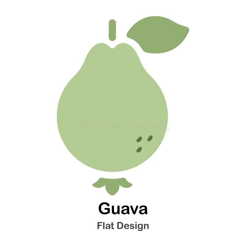 Guava Flat Icon stock vector. Illustration of organic - 123742587