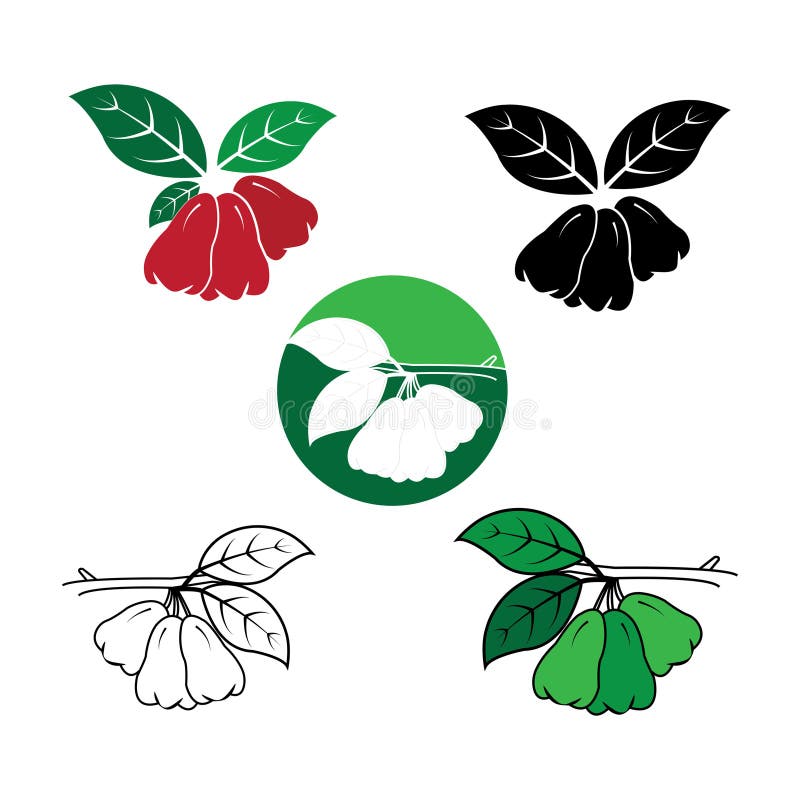 Guava Tree Stock Illustrations – 385 Guava Tree Stock Illustrations ...