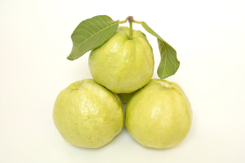 353 Three Guava Stock Photos - Free & Royalty-Free Stock Photos from ...