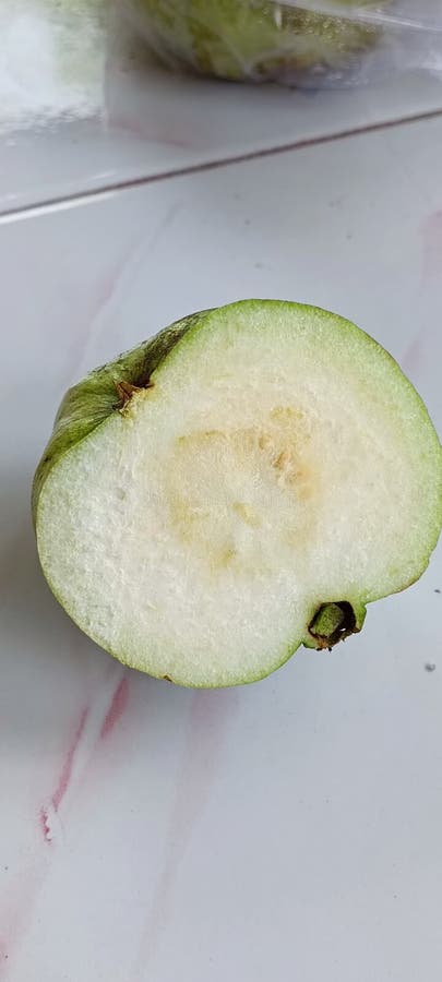 Guava of java stock image. Image of produce, citrus - 263557765