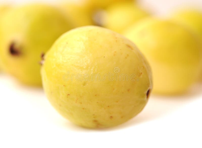Guava stock photo. Image of crunchy, snack, fruity, fruit - 35031902