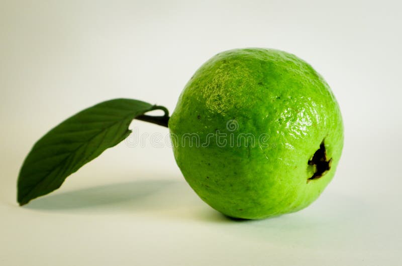 Guava with Pears from the Tree 11 Stock Image - Image of apple, pears ...