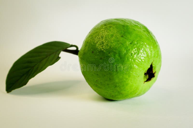 Guava with Pears from the Tree 10 Stock Photo - Image of pears ...