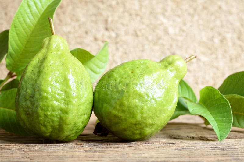 Guava stock image. Image of healthy, food, eating, table - 60495439