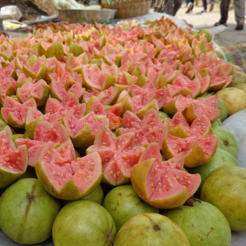Guava stock photo. Image of indian, guava, cutting, fruits - 46173318