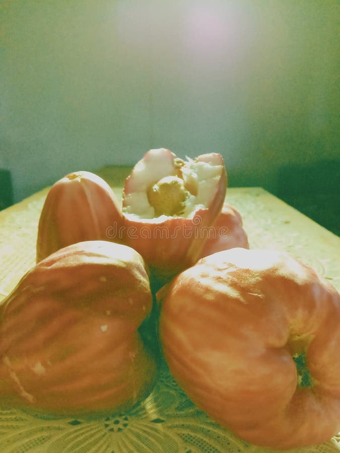 Guava Rose Apple stock image. Image of flower, yellow - 223103971