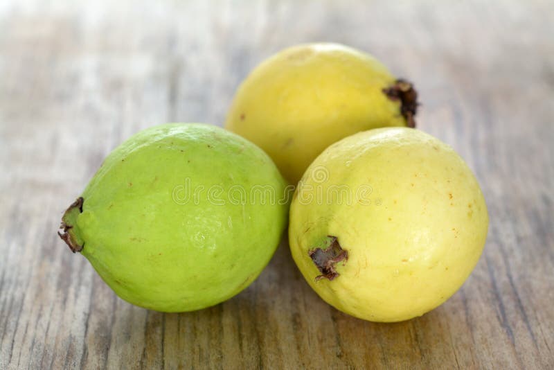 Three guava stock photo. Image of healthy, organic, fruity - 42958816