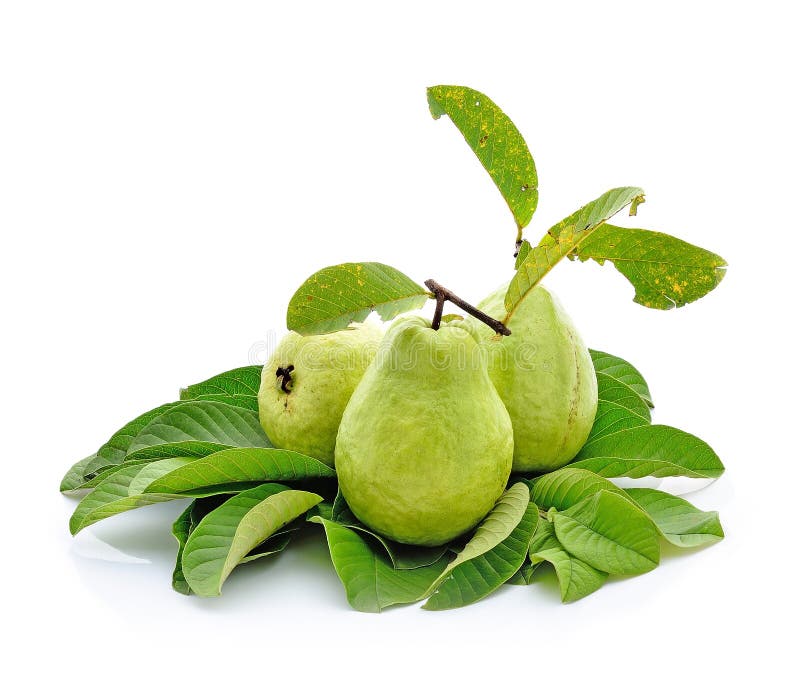 Guava, Tropical Fruit. Psidium Guajava Produce. Bright Heap of Guavas ...