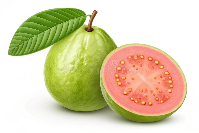 Guava Whole Fruit with Leaf and Half Sliced. Ripe Guava Cartoon ...