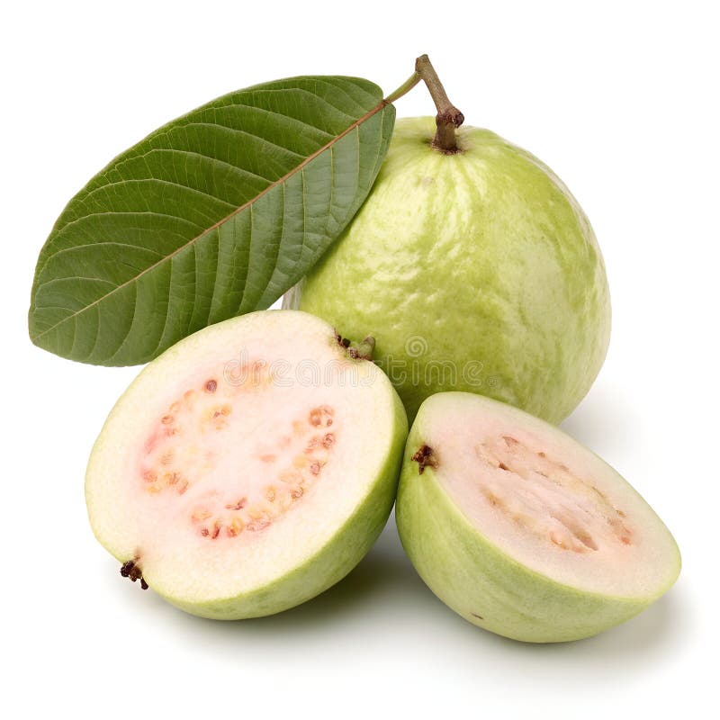 Guavas Whole and Half with Leaf Stock Illustration - Illustration of ...