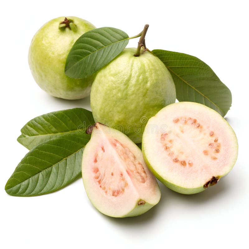 Guavas Whole and Half with Leaf Stock Illustration - Illustration of ...