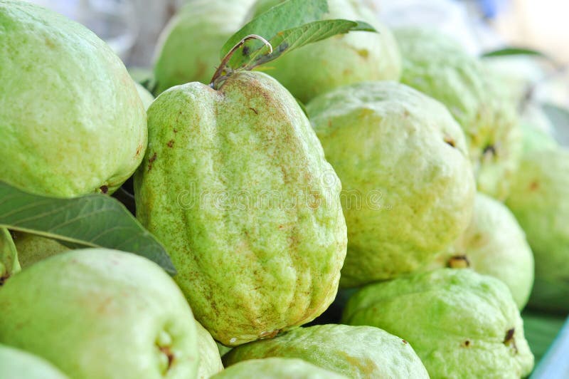 Guave stock afbeelding. Image of voorwerp, gastronomisch - 108774145