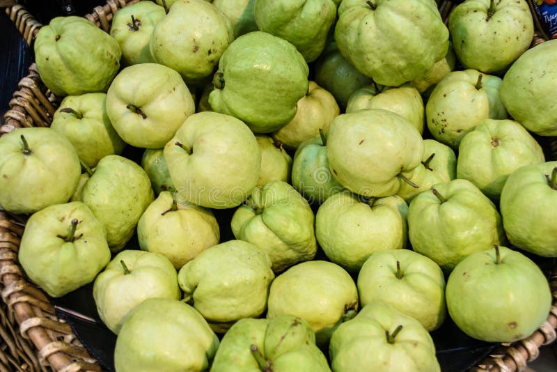 Fruta De Guayaba, Tailandia Foto de archivo - Imagen de jardines ...