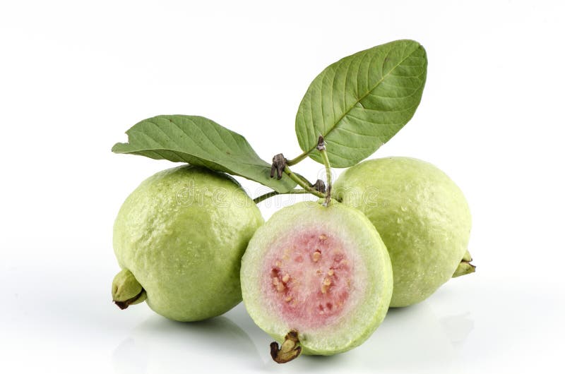 Guayaba (guajava Linn Del Psidium.) Foto de archivo - Imagen de ...