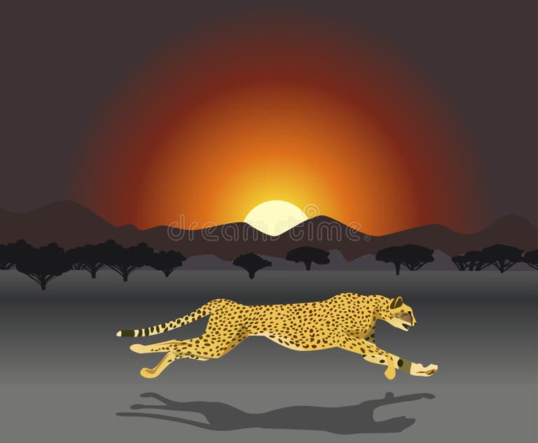 Guepard Stock Illustrations – 408 Guepard Stock Illustrations, Vectors ...