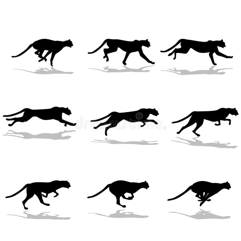 Running Panther Stock Illustrations – 1,581 Running Panther Stock ...