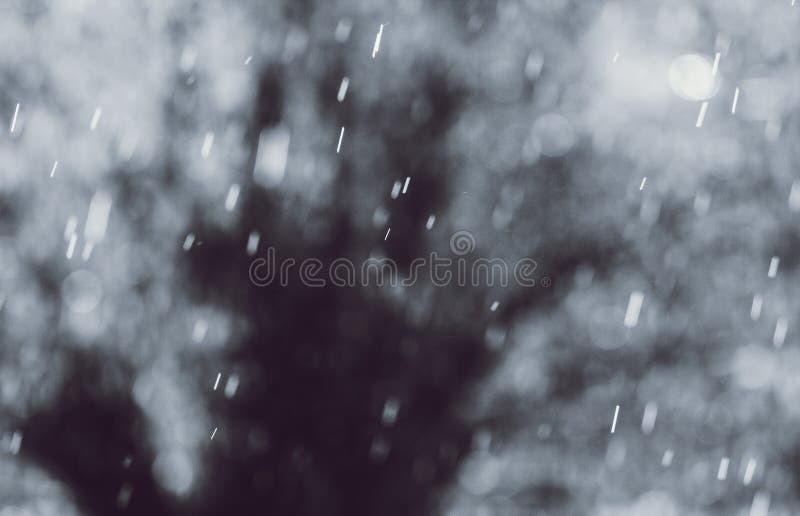 Heavy Pouring Summer Rain Over Green Forest Or City Park Trees ...