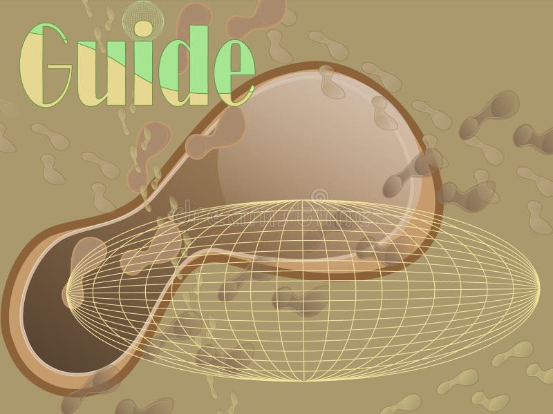 Guide stock vector. Illustration of vector, guide, walking - 7077865