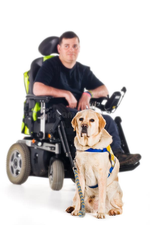 Guide Dog stock image. Image of disability, disabled, mobile - 8433357