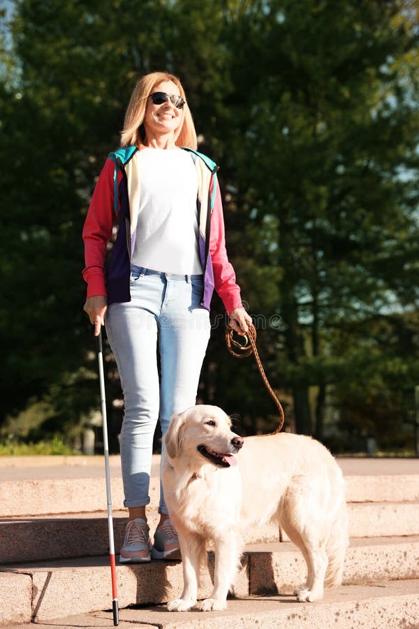 Guide Dog Helping Blind Person with Long Cane Going Down Stairs Stock ...
