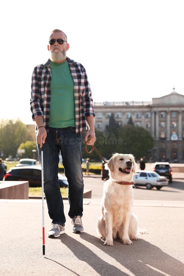 Guide Dog Helping Blind Man Stock Image - Image of helper, safety ...