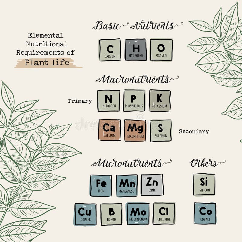 Macronutrients Vector Illustration. Main Food Groups : Proteins, Fats ...