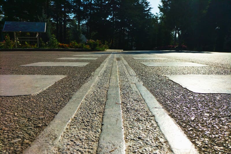 Guide Textured Lines To Suggest the Correct Direction of Movement for ...