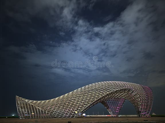 Guide To Fish in Shanghai at Night Editorial Stock Photo - Image of ...