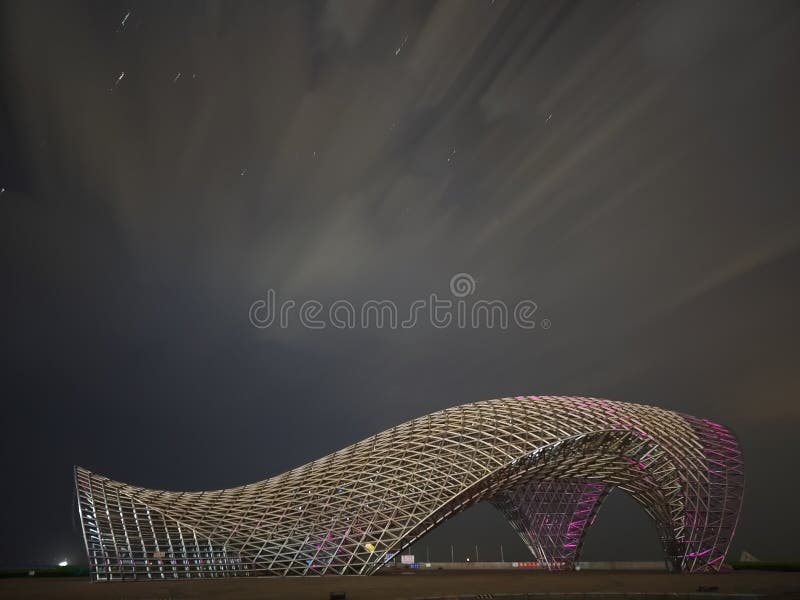 Guide To Fish in Shanghai at Night Editorial Photography - Image of ...