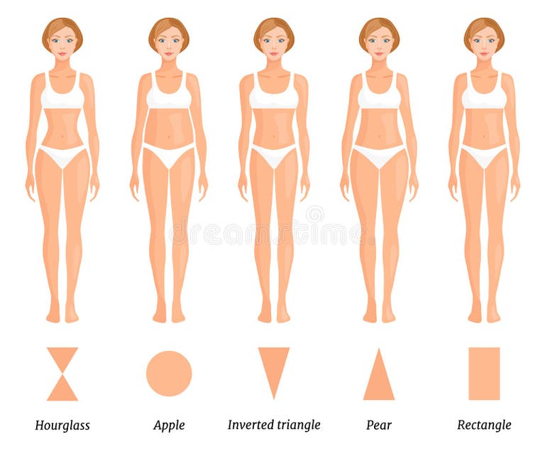 Hourglass Body Stock Illustrations 1228 Hourglass Body Stock Illustrations Vectors And Clipart