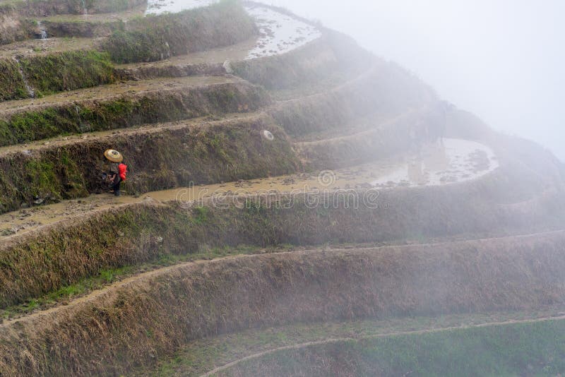 Guilin, China Rice Terrace stock image. Image of china - 161873257