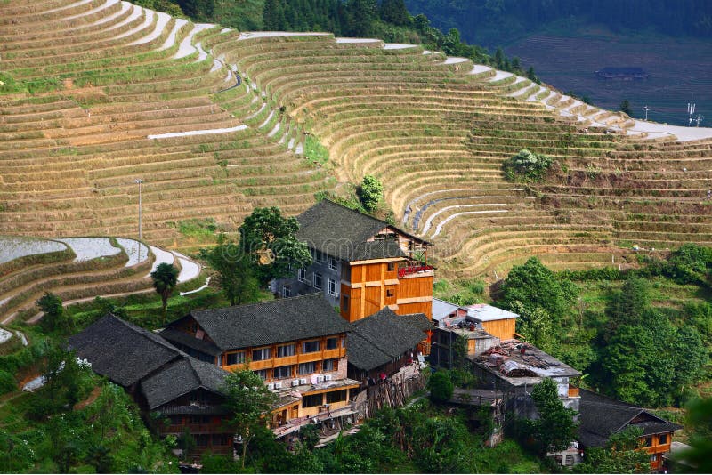 Guilin terrace stock photo. Image of buildings, farmland - 53560454