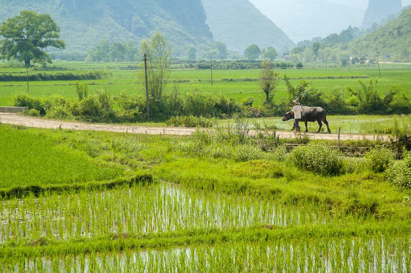 Guiling landscape stock image. Image of countryside, nature - 45026559
