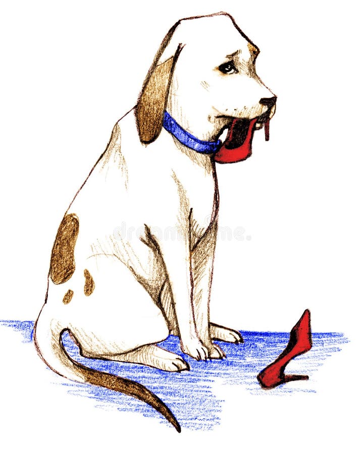 Guilty dog stock illustration. Illustration of puppy, shoe - 7504254