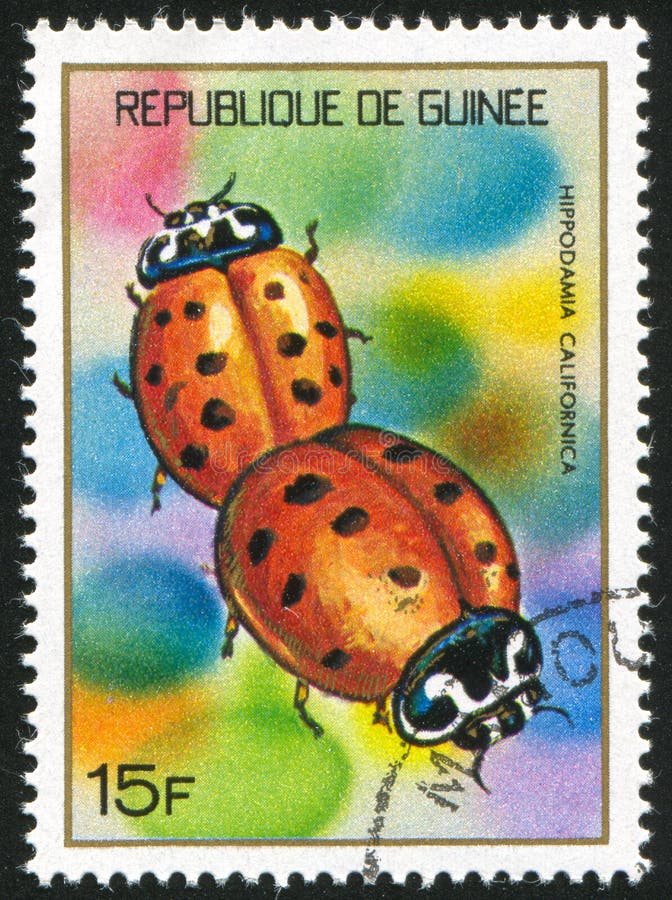 Ladybugs editorial image. Illustration of message, dappled - 231615460
