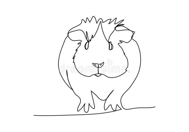 Guinea Pig, One Line Drawing Vector Illustration Stock Illustration ...