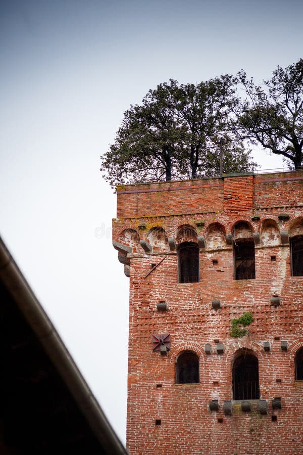 Guinigi Tower, Lucca, Italy Stock Image - Image of clouds, aerial ...
