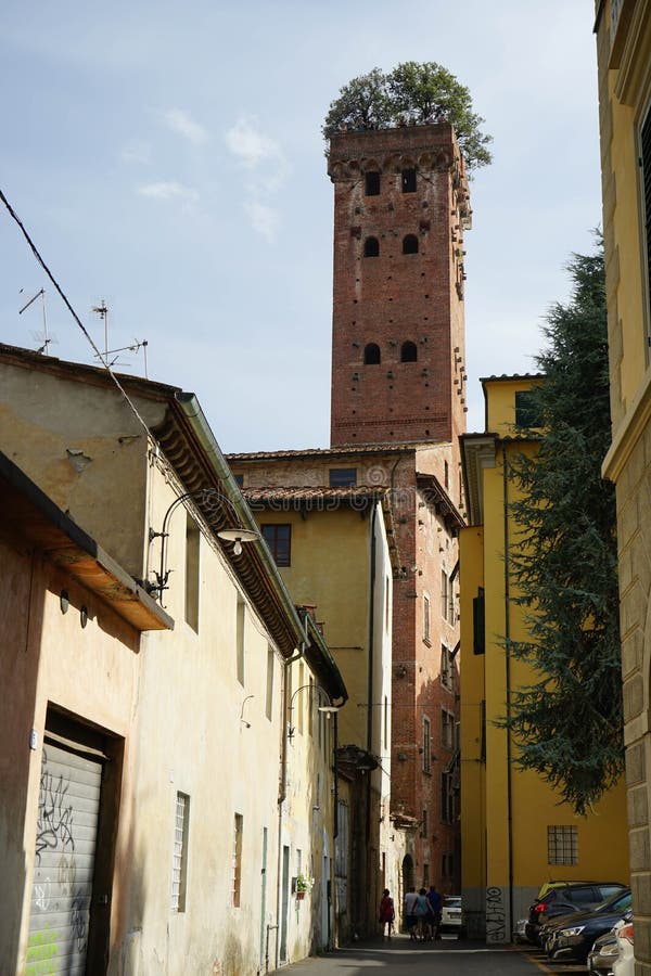 Guinigi Tower in Lucca editorial photography. Image of holm - 123295642
