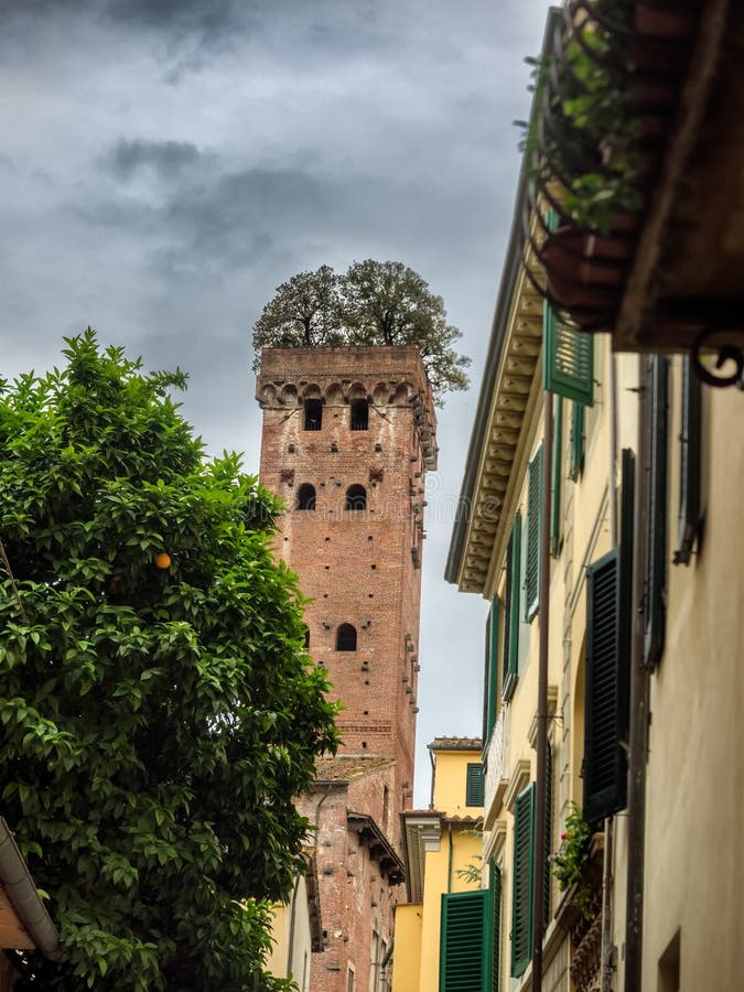 Guinigi Tower with Trees on the Top in Lucca Stock Photo - Image of ...