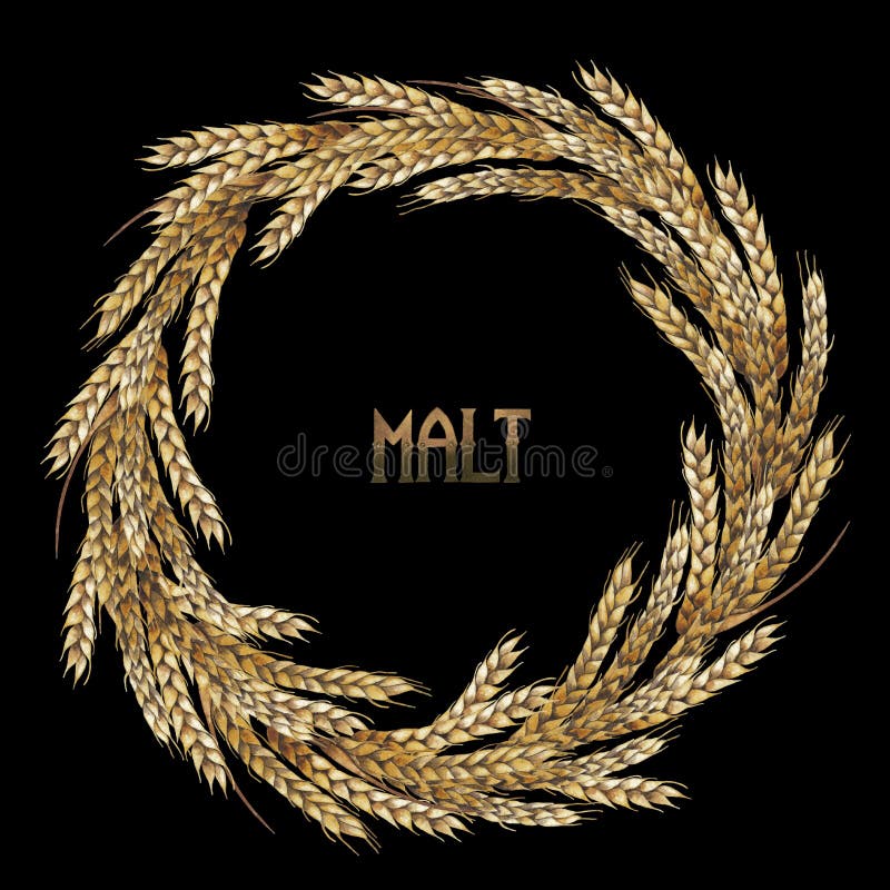 Houblon Et Malt D'aquarelle Illustration Stock - Illustration du ...