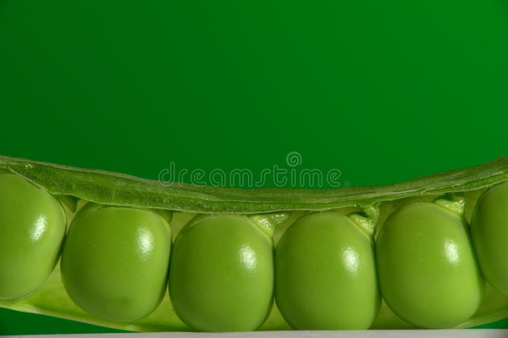 Guisante foto de archivo. Imagen de vaina, detalle, cosecha - 5475556