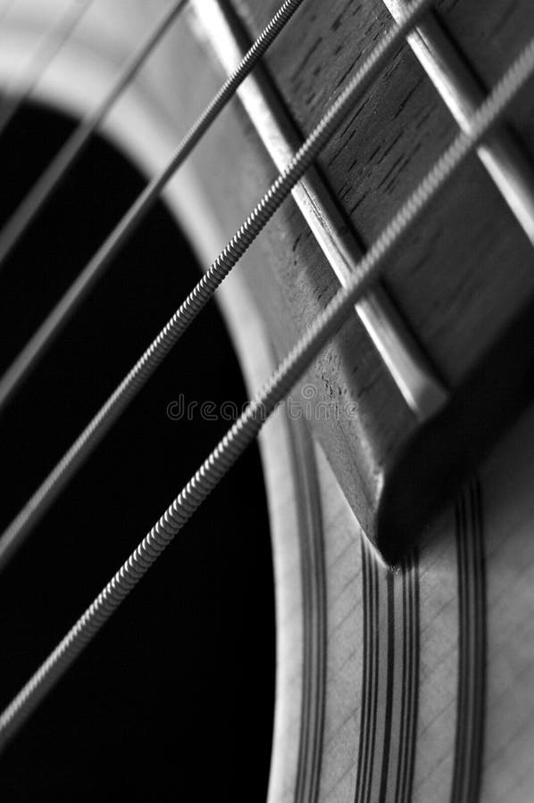 Guitar stock image. Image of life, concert, music, solo - 3542915