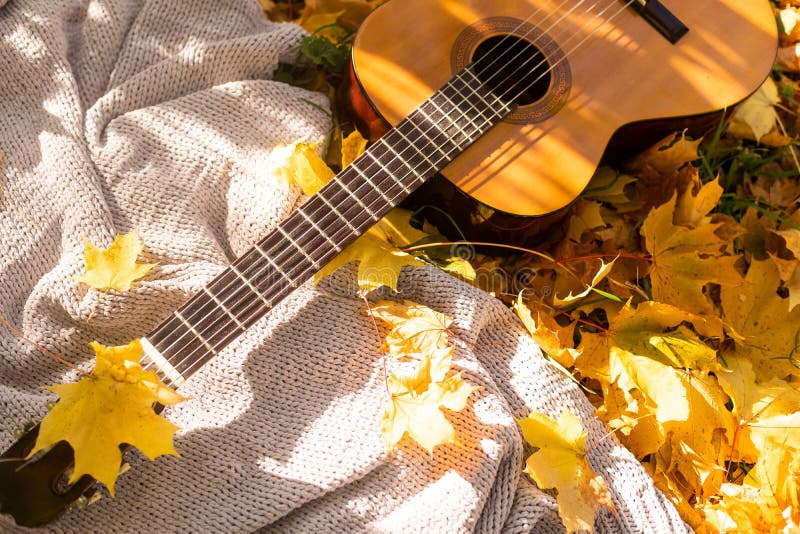 Guitar and Autumn Leaves Background. Stock Photo - Image of fall, rock ...