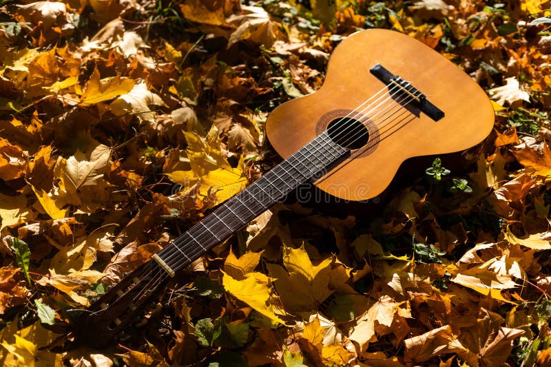 Guitar and Autumn Leaves Background. Stock Image - Image of instrument ...